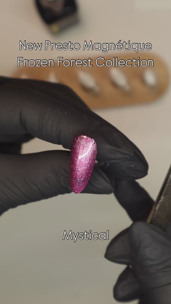 PRESTO Gel Magnétique - FF04 - Magical – Nail Labo USA