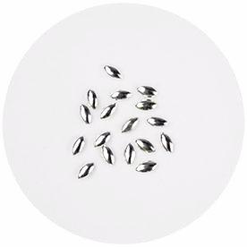 Nail Labo Metal Seeds Silver 200pcs – Nail Labo USA
